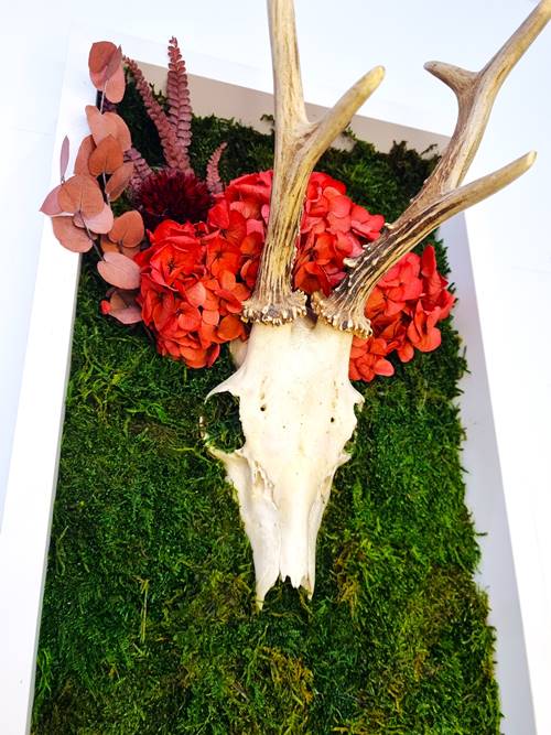 Deer Crown - MAO Moos - Mooswerkstatt aus Taiskirchen in ...